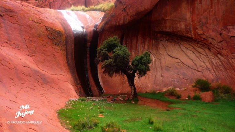 Inca Cueva » Quebrada de Chulín » Cómo llegar - Viví Jujuy